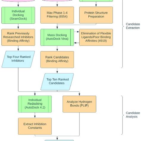 Flowchart For In Silico Candidate Extraction Validation And Analysis