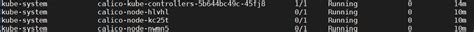 Readiness Probe Failed Calico Node Is Not Ready Bird Is Not Ready