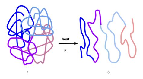 Denatured Enzyme Diagram