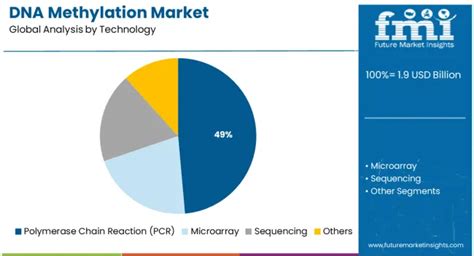 Dna Methylation Market Global Market Analysis Report 2035