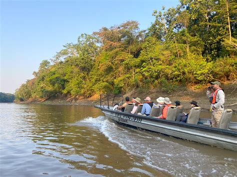 Discover The Wonders Of The Peruvian Amazon Aboard The Delfin Iii