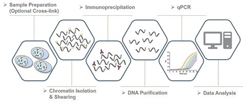 Discover Creative Biomart A Revolutionary Platform For Bioinformatics