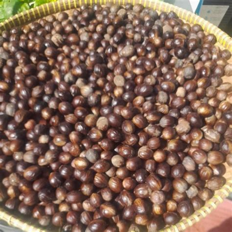 Jual Biji Pala Kering 1kg Shopee Indonesia