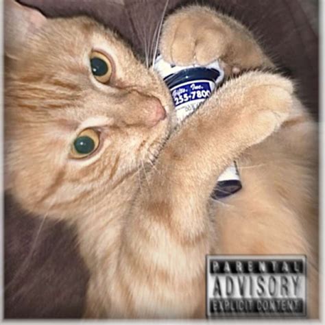 Stream Opp Pack By Olcastle Listen Online For Free On Soundcloud