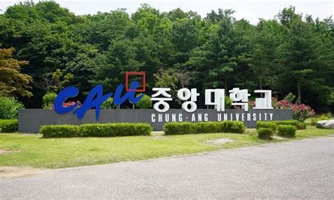 중앙대 인공지능 활용 취업지원서비스 Ck Pass 도입 조선에듀