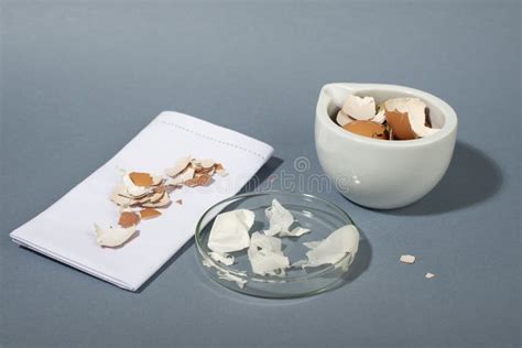 Eggshell Membrane Collagen From Eggshell Membranes Stock Image Image Of Lifestyle Container