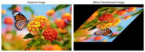 Scikit Image Affine Transform