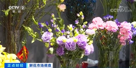 “涨”声一片！有品种批发价翻番，还有的价格大涨三成！什么情况凤凰网
