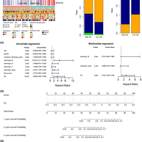Associations Of Risk Groups With Clinical Factors And Microbial