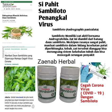 Jual Kapsul Extrak Daun Sambiloto 60 Kapsul Obat Diabetes Obat