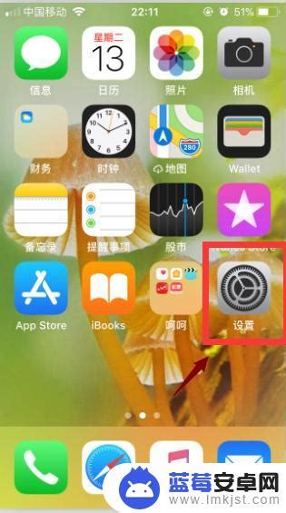 苹果手机信任开发者选项在哪里 苹果手机APP 如何设置信任开发者 蓝莓安卓网