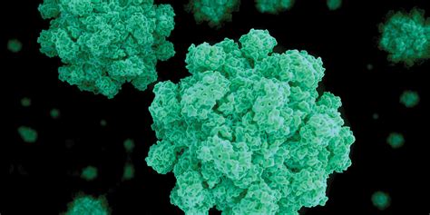 Not One Bug But Two Lessons Learnt From Recent Gastro Outbreaks