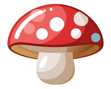 Button Mushroom Clip Art Realistic Vector Illustration Of Fresh White Mushroom Isolated On White