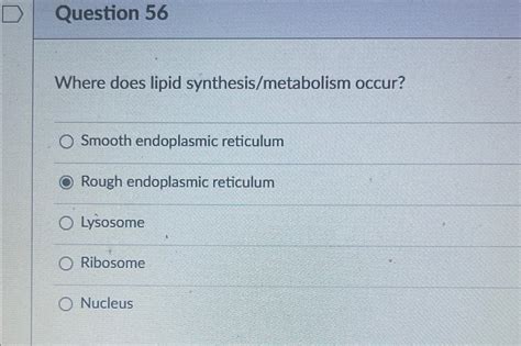 Solved Question Where Does Lipid Synthesis Metabolism Chegg