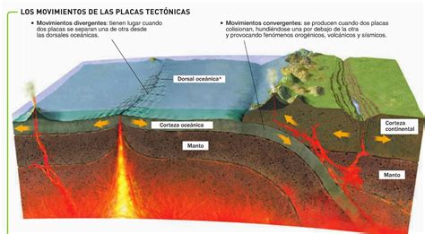 Movimientos De Las Placas Tectónicas Tectonica De Placas Placa Tectónica Movimientos De La