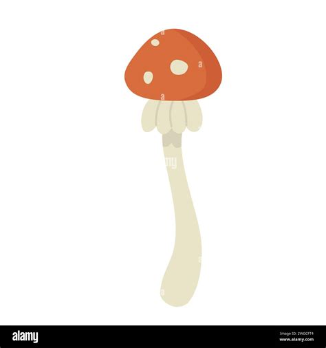 Toxic Forest Mushroom Poisonous Mushroom Amanita Muscaria Vector