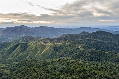 鳥瞰雨林的薄霧和陽光在清晨 自然的高山與雲和天空的看法驚人的自然景觀飛行無人駕駛飛機的鳥瞰圖 照片檔及更多 亞洲 照片 亞洲 側影 光