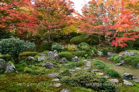 秋の京都市源光庵書院から眺める枯山水庭園の写真素材 212496888 イメージマート