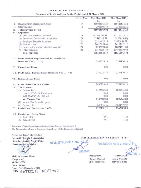 Profit And Loss Fy19 20 Pdf