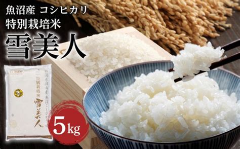魚沼産コシヒカリ特別栽培米 「雪美人」（5kg） 新潟県津南町 セゾンのふるさと納税