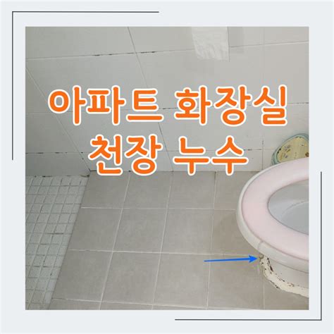 수원누수탐지 아파트 화장실 천장 누수 탐지부터 공사까지 반나절에 완료 네이버 블로그