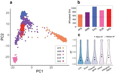 Accurate Genotyping Of Structural Variant Using Graph Model And