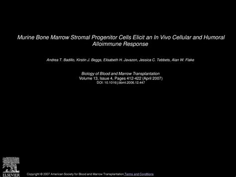 Murine Bone Marrow Stromal Progenitor Cells Elicit An In Vivo Cellular