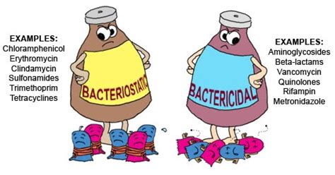 What Are Antibiotics