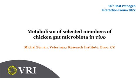 Pdf Metabolism Of Selected Members Of Chicken Gut Microbiota In Vivo