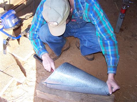 Cones Kill Chickens At Lily Selwyn Blog