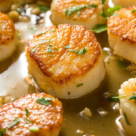 Pan Seared Scallops