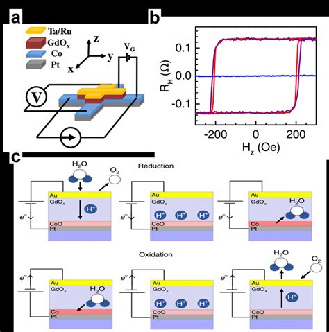 A Schematic Of A Tarugdoxcopt Hall Bar Structure And The Transport