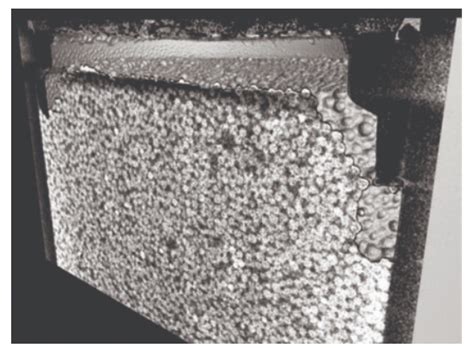 [process Development] Structure And Performance Of Chromatography Columns Inexoplat 인엑소플랫