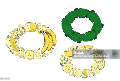 둥근 타원형 열대 잎과 바나나 프레임 세트 그래픽 만화 디자인 벡터 일러스트 레이 션 0명에 대한 스톡 벡터 아트 및 기타 이미지 0명 공휴일 광고 Istock