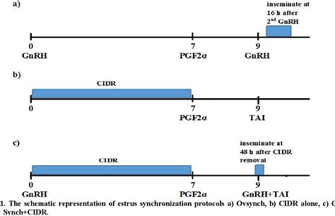 Figure 1 From Efficacy Of Estrus Synchronization Protocols In Non Descript Cattle Of Azad Jammu
