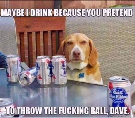 Fuck Dave Album On Imgur