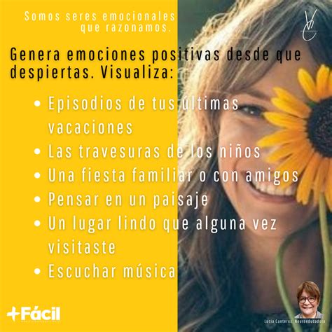 No Somos Racionales Somos Seres Emocionales Que Razonamos Fácil