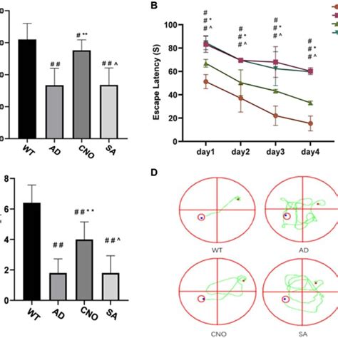 App Ps1 Pcr Identification Results 1 2 3 7 8 Were App Ps1 Double Download Scientific