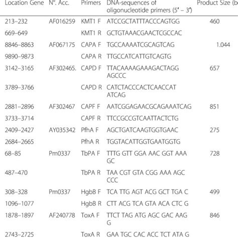 Lesions Caused By Pasteurella Multocida Type A In Experimentally