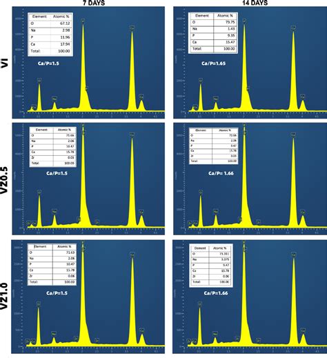 Table 1 From Porous Phosphate Based Bioactive Glass β Tcp Scaffold For Tooth Remineralization