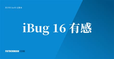 Ibug 16 有感