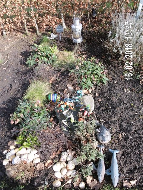 Hidde Jacob Rein De Jong 2002 2010 Find A Grave Memorial