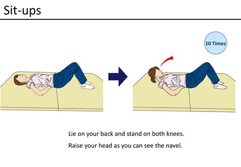 Trunk Physio Visuals Illustrated Exercise Stretching And