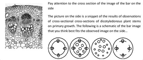 Inquiry Skills Questions On Indicators Of Communicating Information
