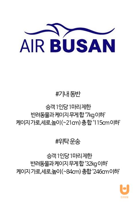 반려생활 국내선 비행기 항공사별 탑승규정 총정리2020ver