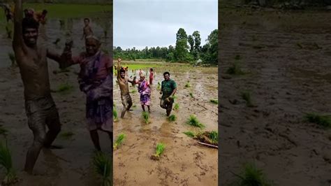 Kichad Dance Shortsvideo 2022 Youtube