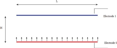 Two Dimensional Numerical Analysis Of Electroconvection In A Dielectric Liquid Subjected To