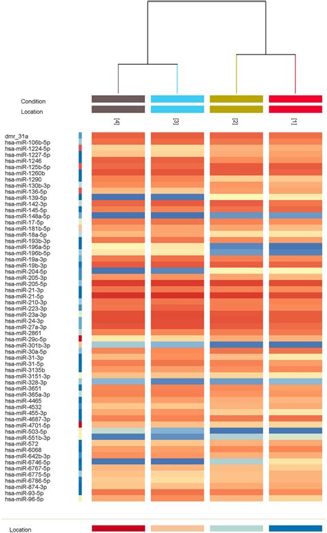 Cluster Analysis Of Significantly Dysregulated Mirnas From The Global