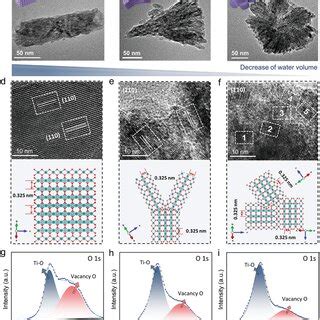Tunable Dimensions And Morphologies Schematic Diagram Of The Obtained Download Scientific