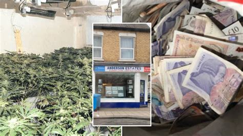 خانه یک ستاره لیگ برتری تبدیل به مزرعه ماری جوانا شد عکس